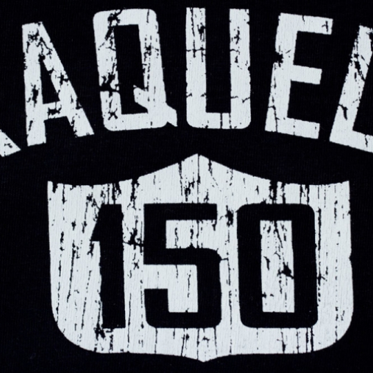 Foil Screen Printing (Multi Color) on Fabric